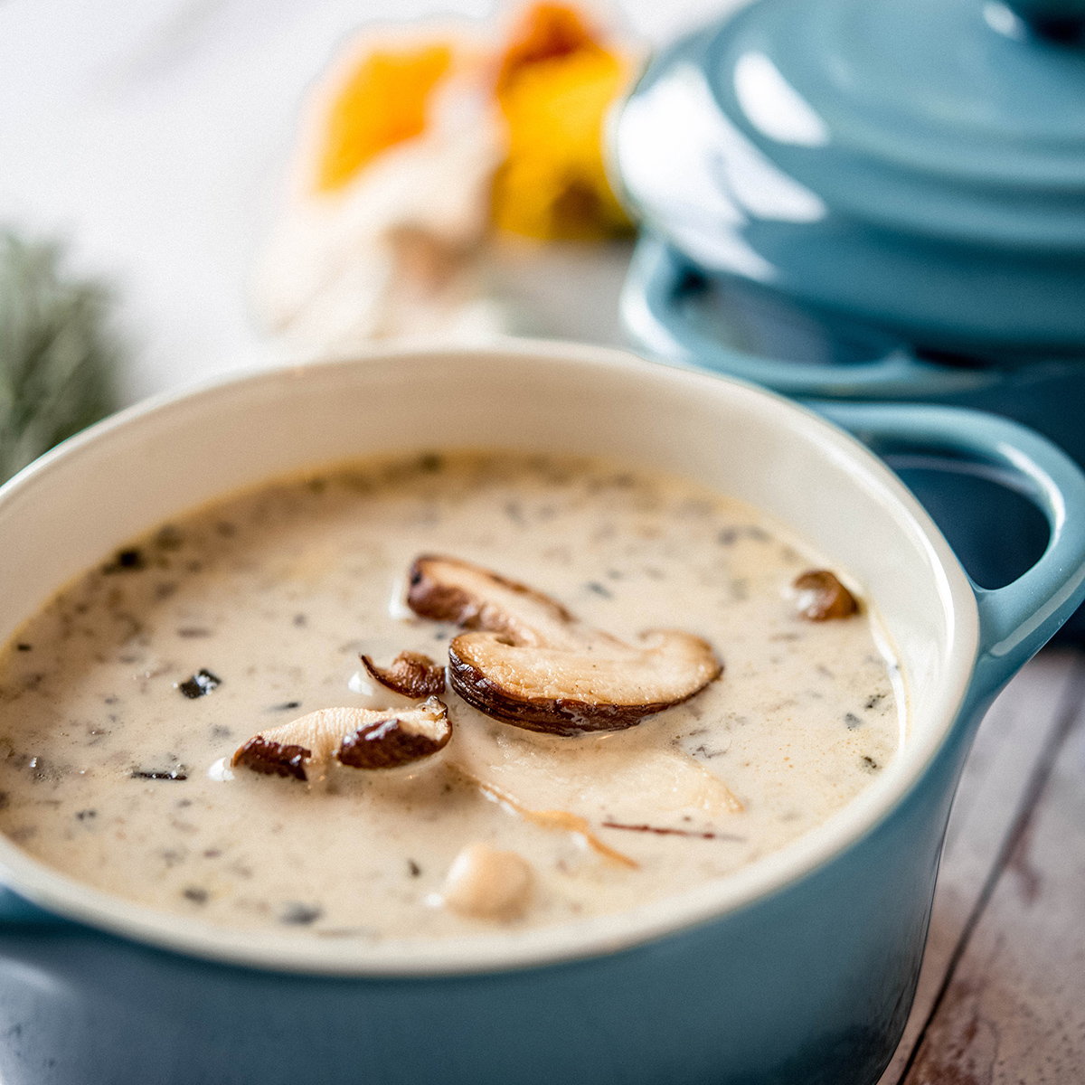 Mixed Mushroom Soup - Be Wild Eats